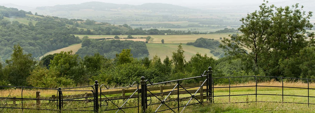 All Get it now - Emmett & Stone Country Sports Ltd